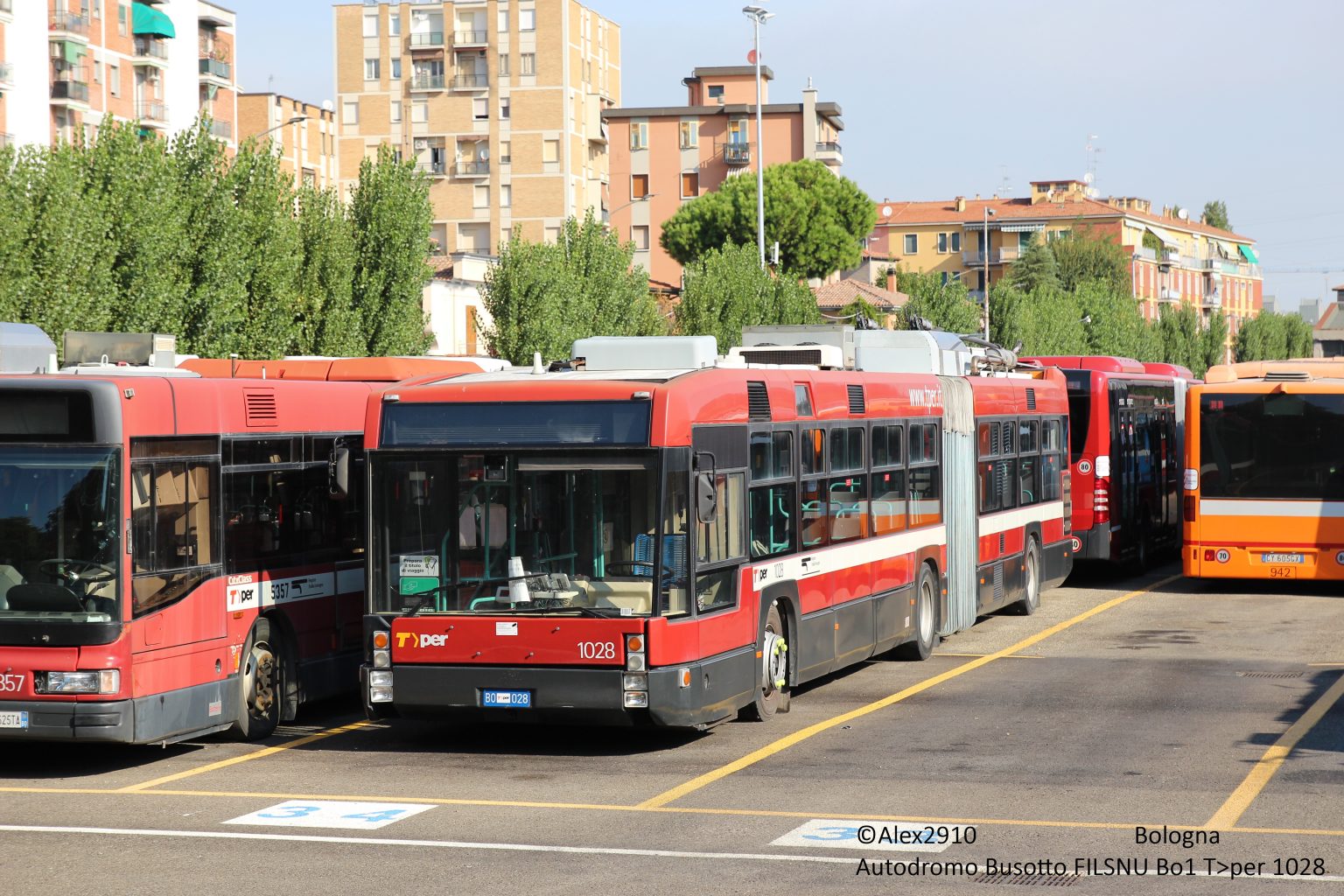 FILOBUS E FILOSNODATI – Photo Transport Italia