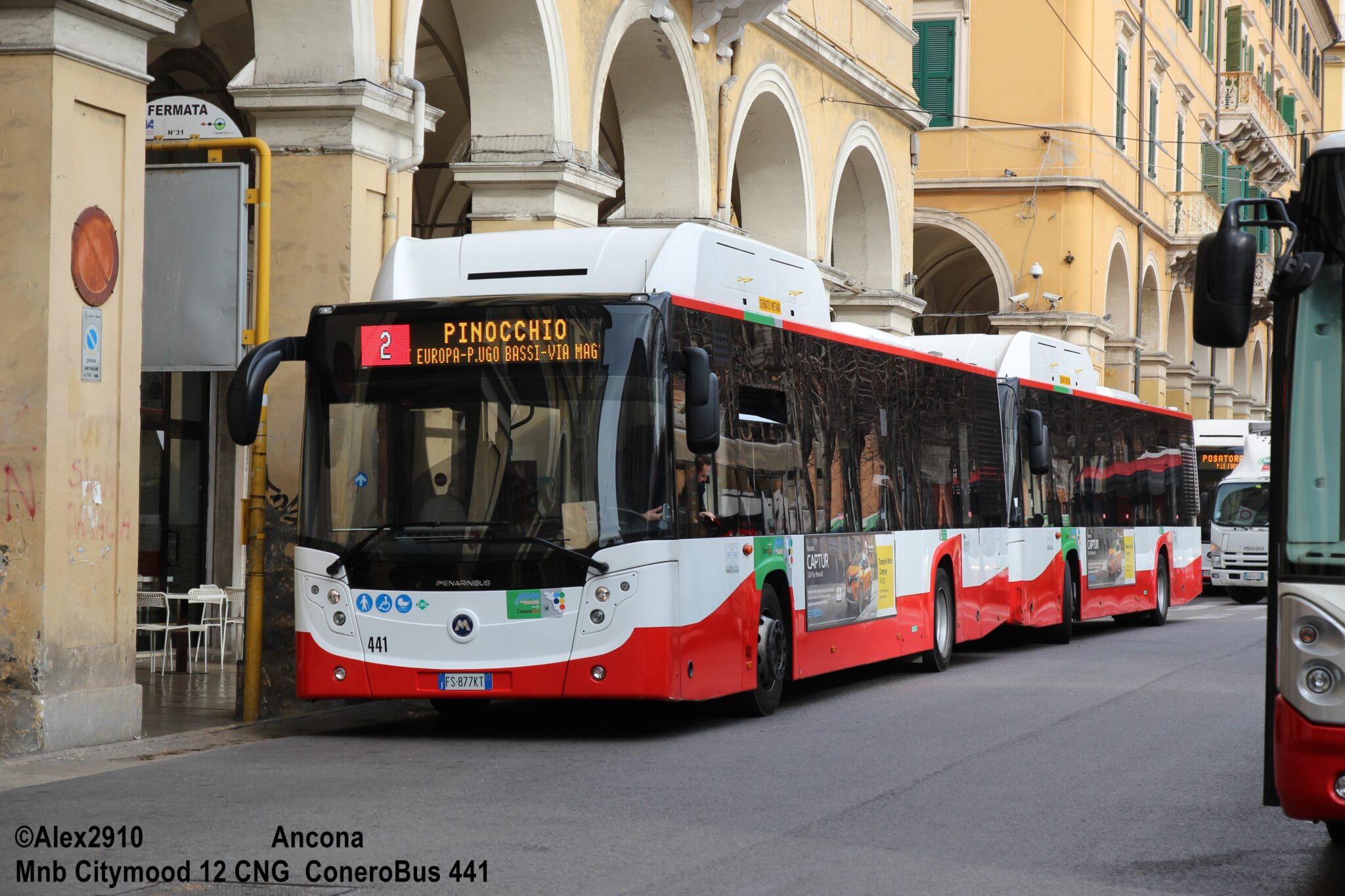 Conerobus – Ancona – Photo Transport Italia